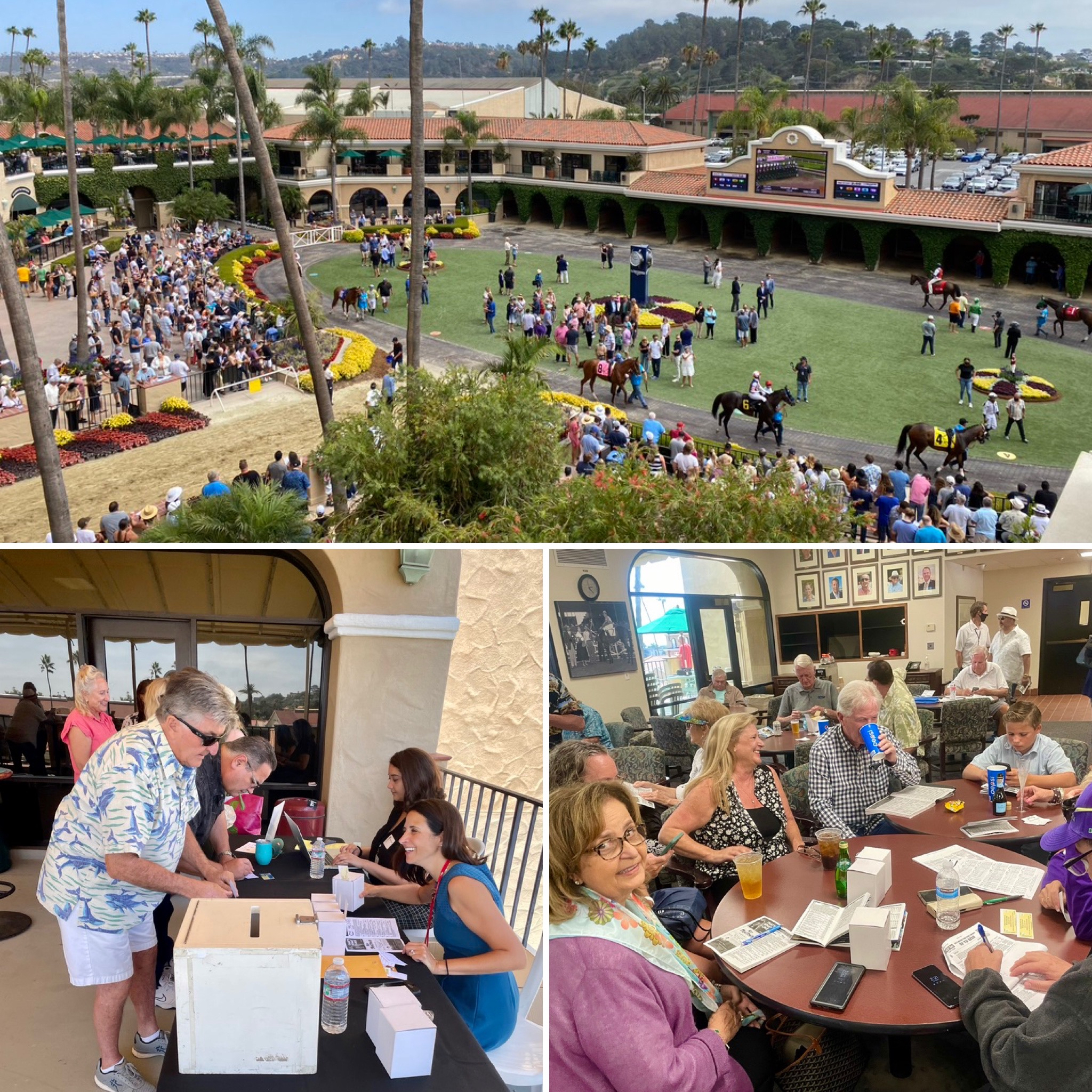 SUCCESSFUL OWNER APPRECIATION DAY AT DEL MAR - TOC Online | TOC Online